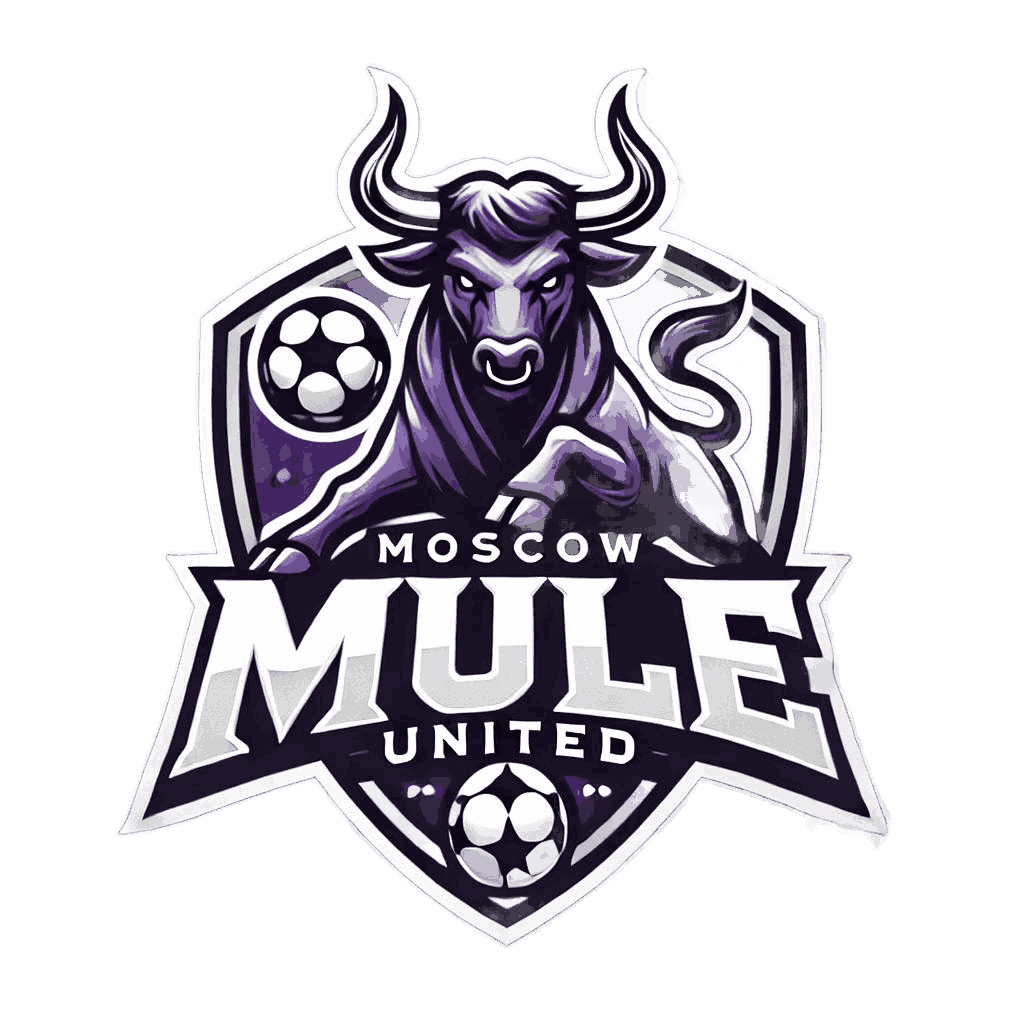 Faculties Football League